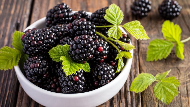 8 Powerful Health Benefits of Blackberries - Natural Living Insider